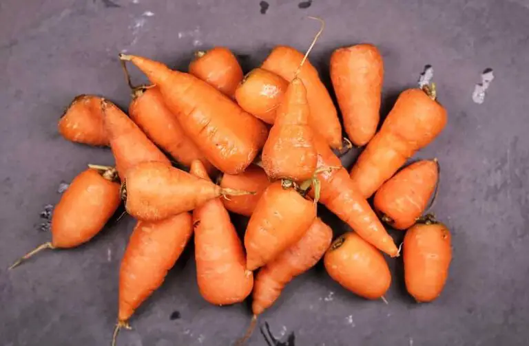 10 Best Healthy Vegetables That You Can Eat Raw - Toast 'n Fry