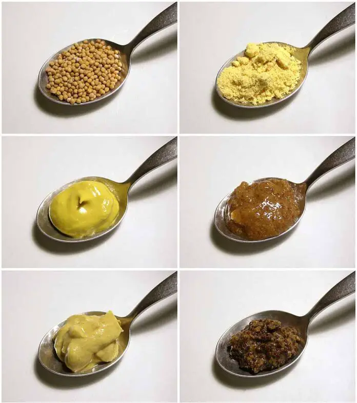 What Really Is Mustard? – Origin & Most Common Types And Uses! - Toast ...