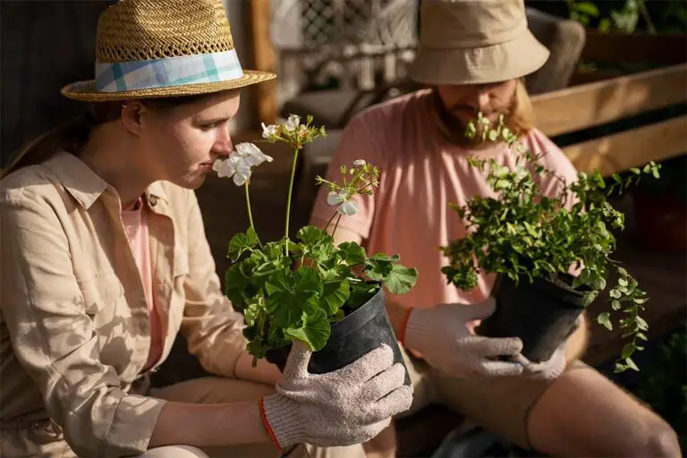 Vegetables To Plant Together – Companion Planting Basics - Toast 'n Fry